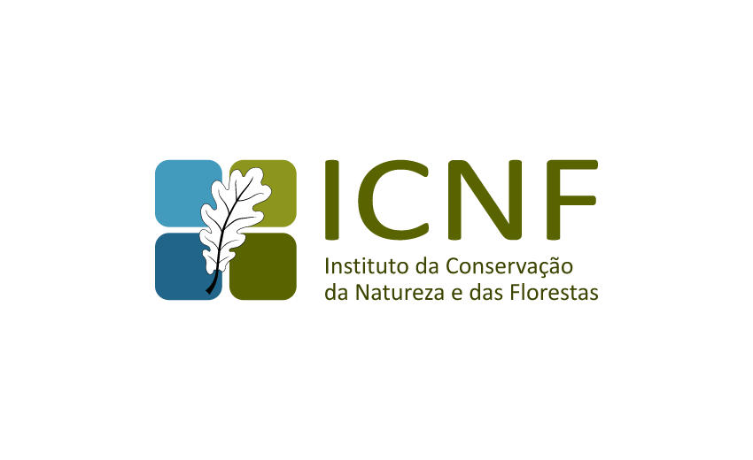ICNF abriu recrutamento para a Força de Sapadores Bombeiros Florestais