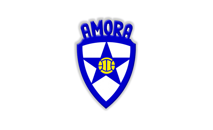 Amora Futebol Clube está a recrutar Team Managers