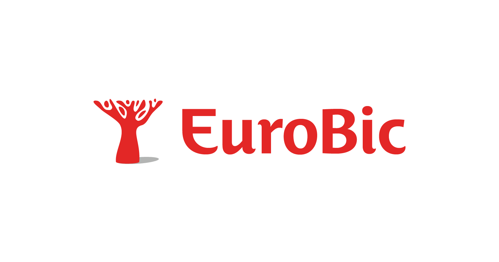 EuroBic está a recrutar Técnico de Conceção de Produtos, Parcerias e ...