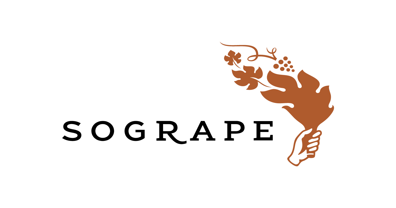 Sogrape está a recrutar na área de Procurement