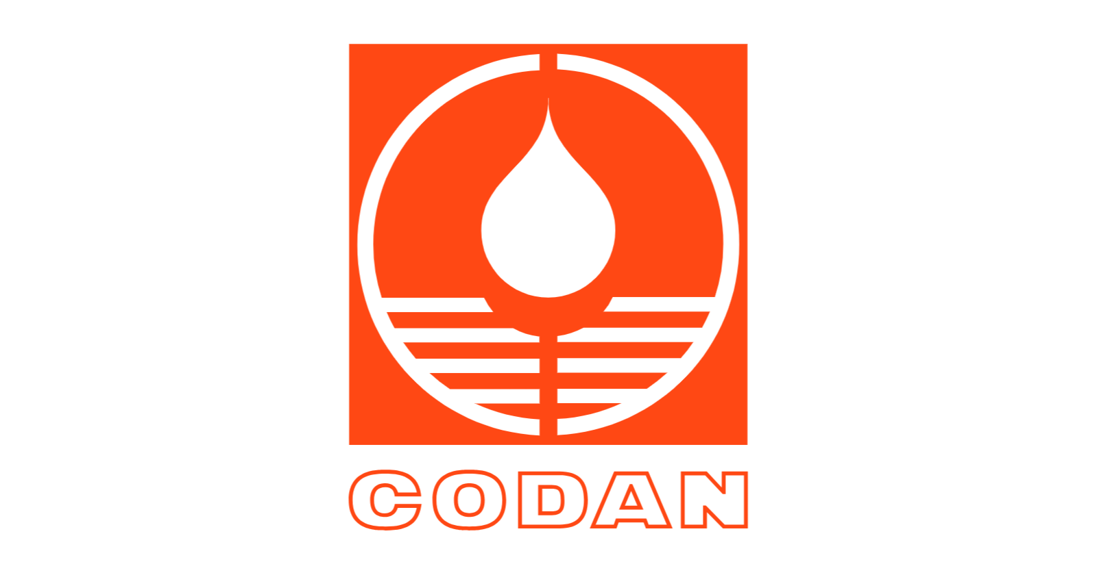 CODAN está a recrutar Técnico de Recursos Humanos